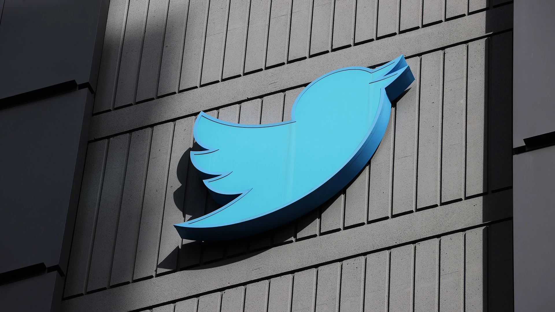 Meet the Twitter 'Court Jester' Who Just Became the Lead Ex-Employee ...