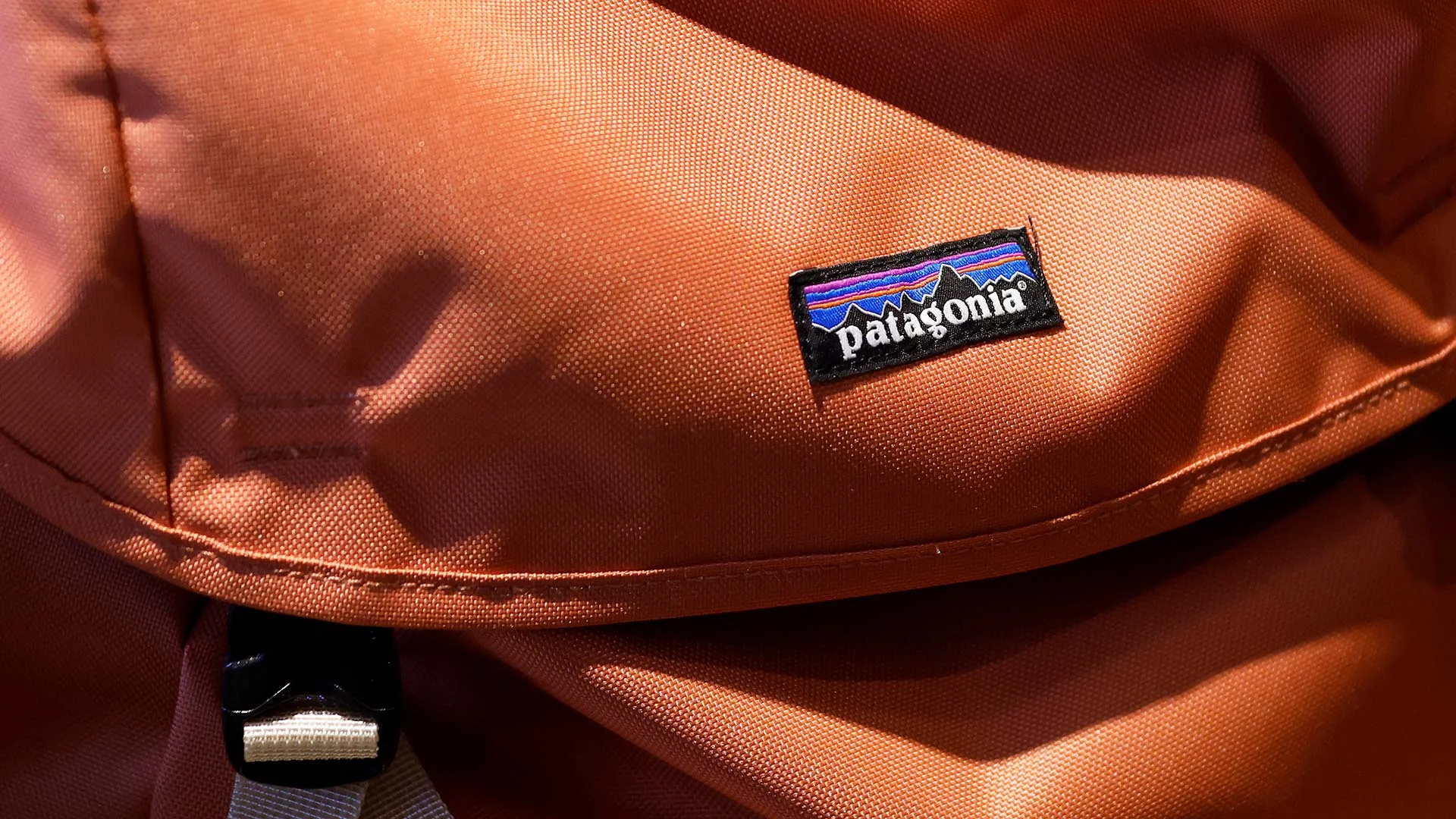 Patagonia Just Called Itself an Unsustainable Brand. Why It's Genius ...