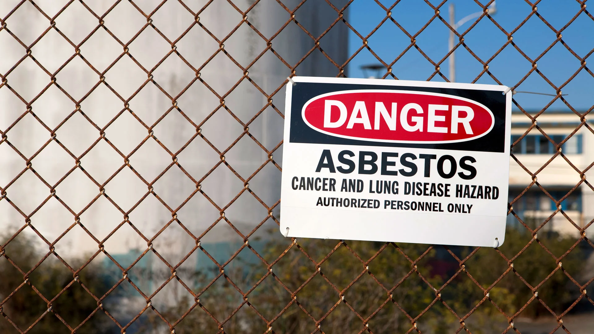 EPA Bans "White" Asbestos, a Deadly Carcinogen Still Used After Decades ...