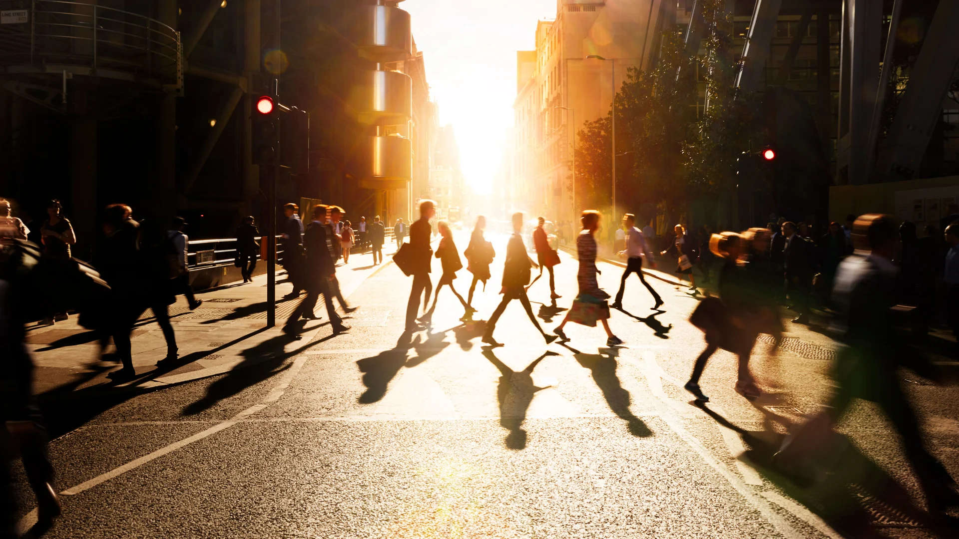 To Speed Up Your Productivity, Slow Down