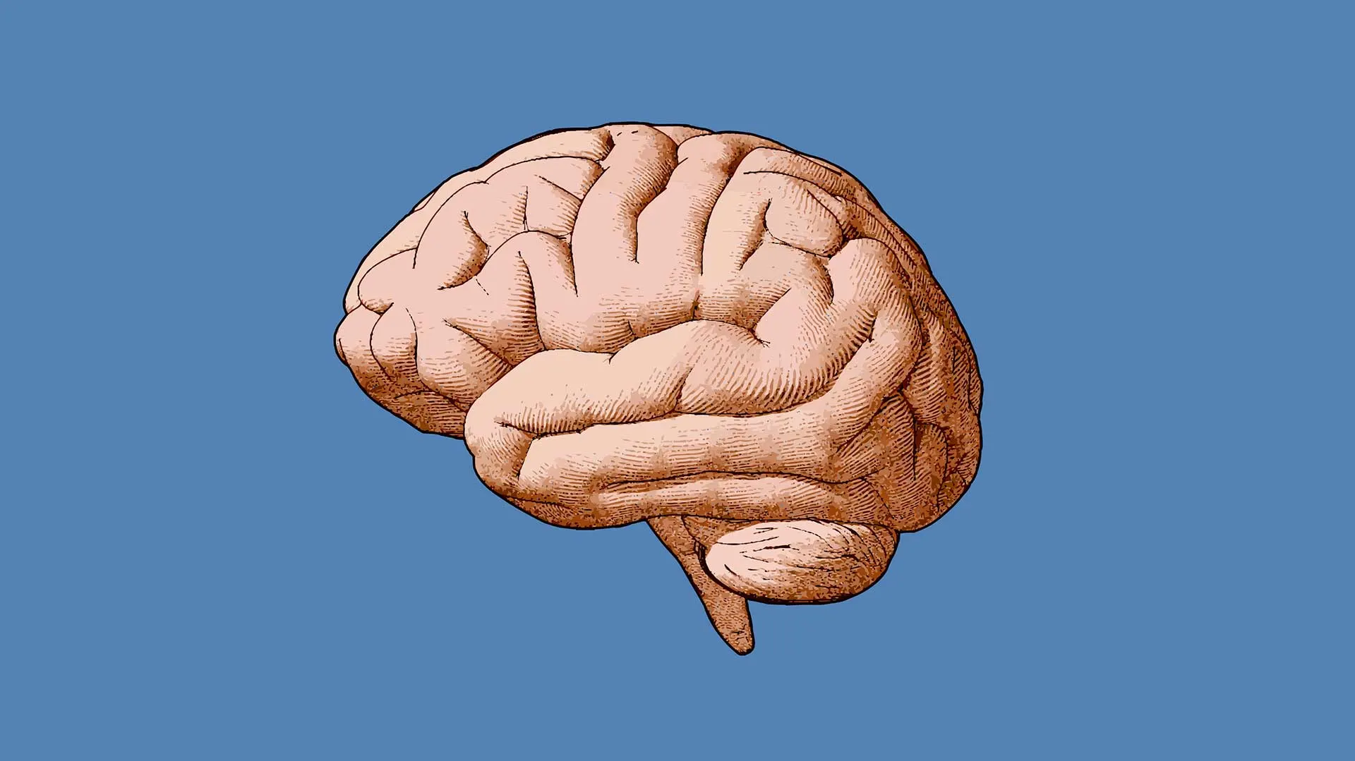 Neuroscience Has an Explanation for Why You Can't Shake Unwanted Thoughts