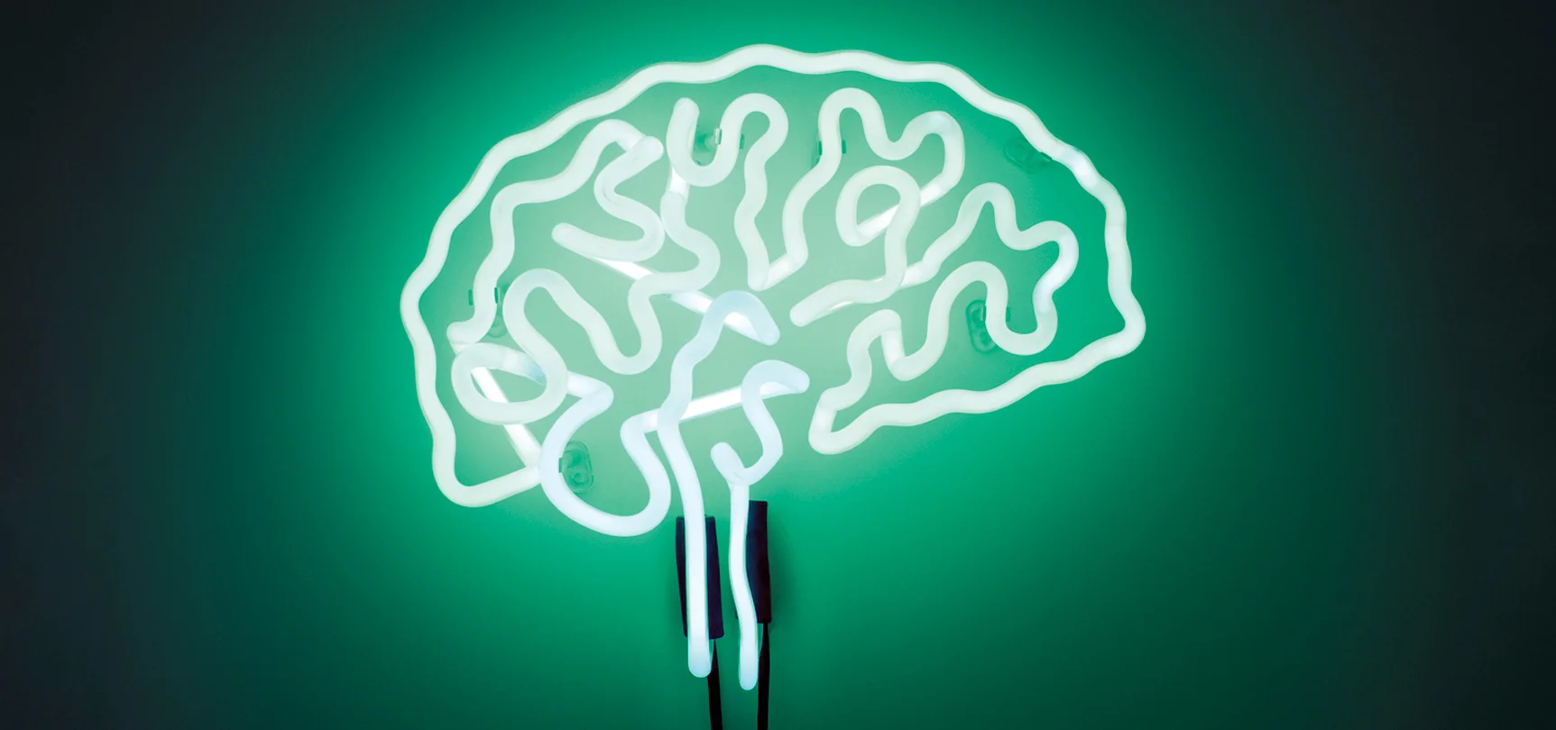 Inside the Brain of a Leader
