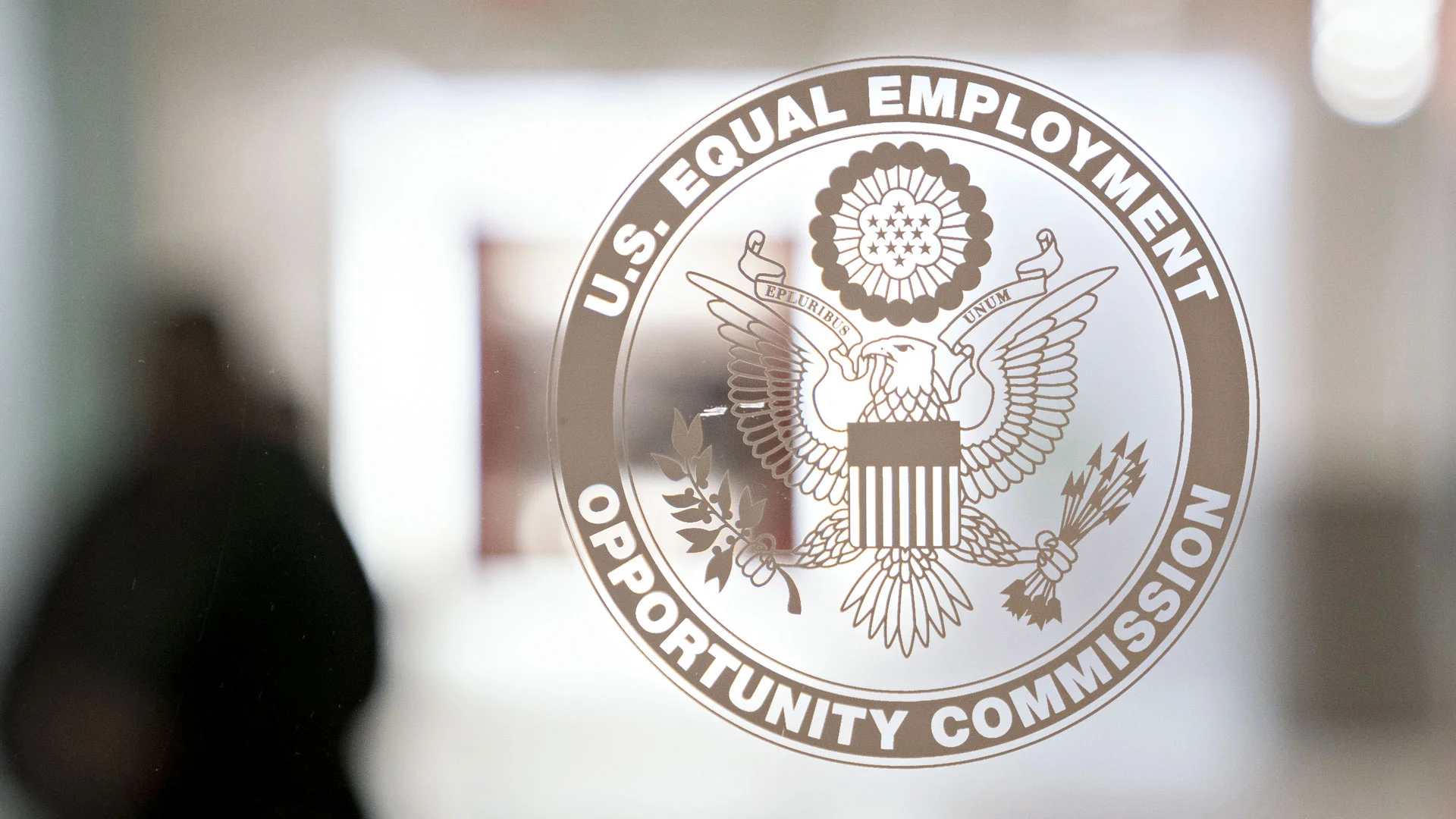 The EEOC Defends Hello Alice in Legal Battle Over DEI-Related Grant ...