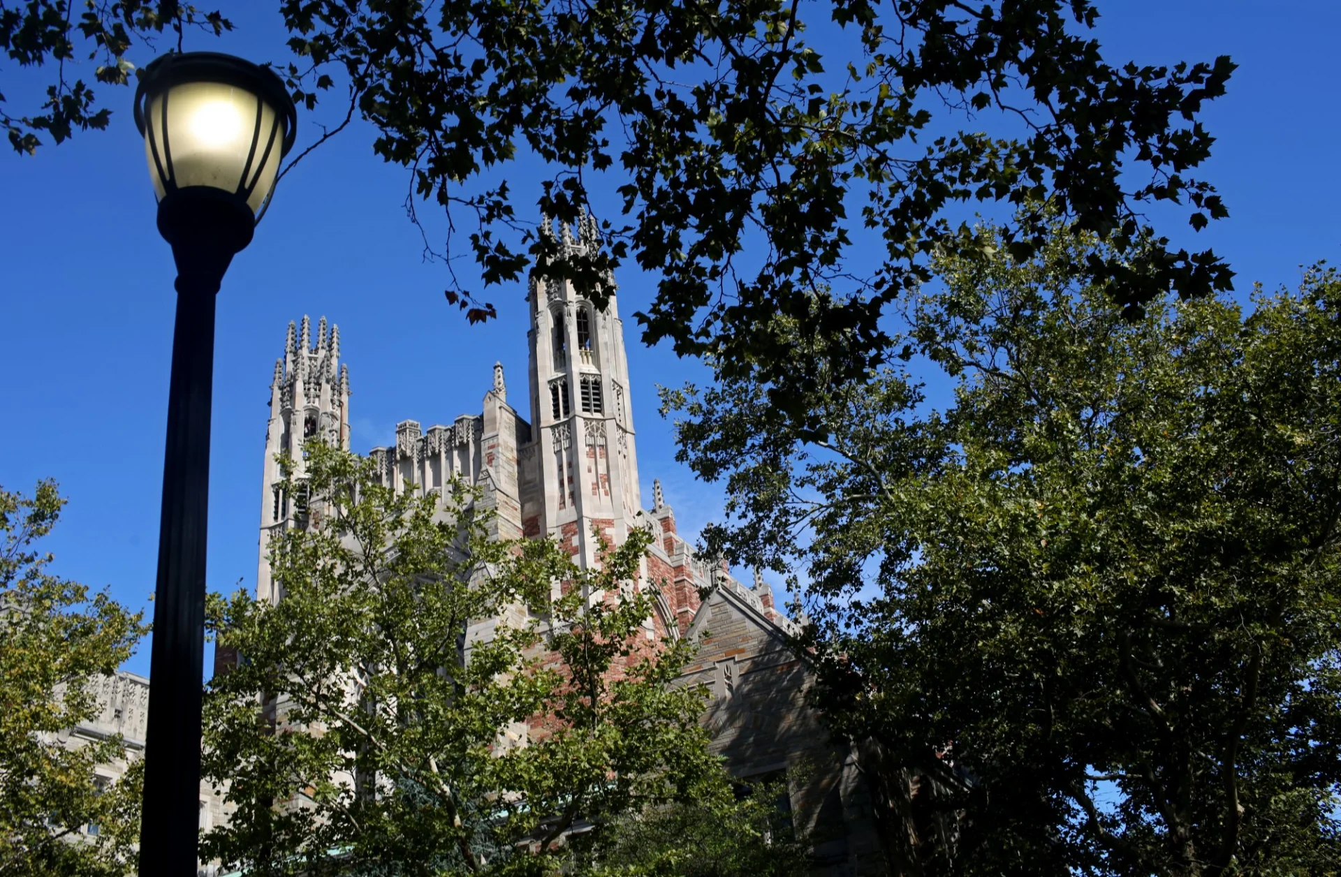 Yale Let Anyone Take Its Most Popular Class Ever for Free. Here's What ...