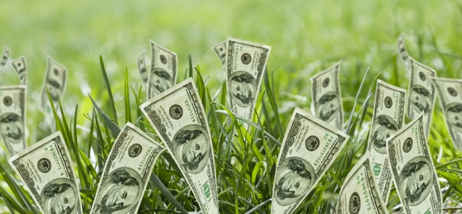 Not All Money Is Equal Shades of Green