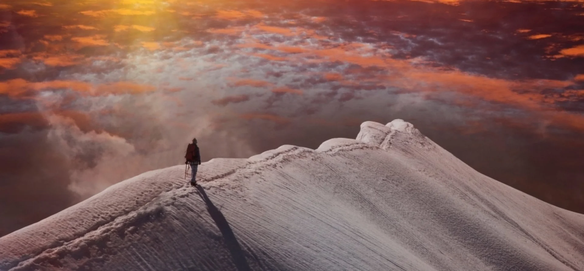 6 Incredible Entrepreneurs and Their Journeys to Success