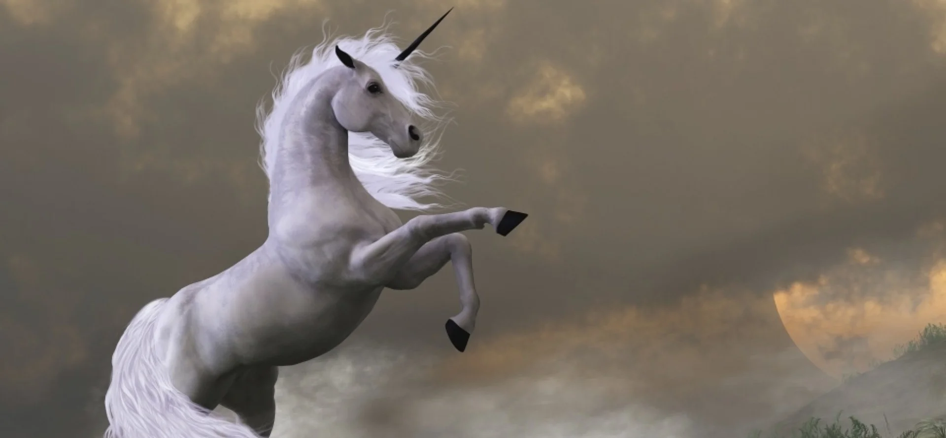 Top 10 Female Founder Unicorns
