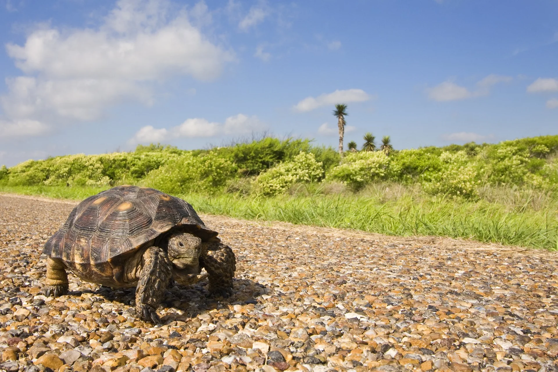 Want to Make Better Decisions? Start By Slowing Down Your Thought Process
