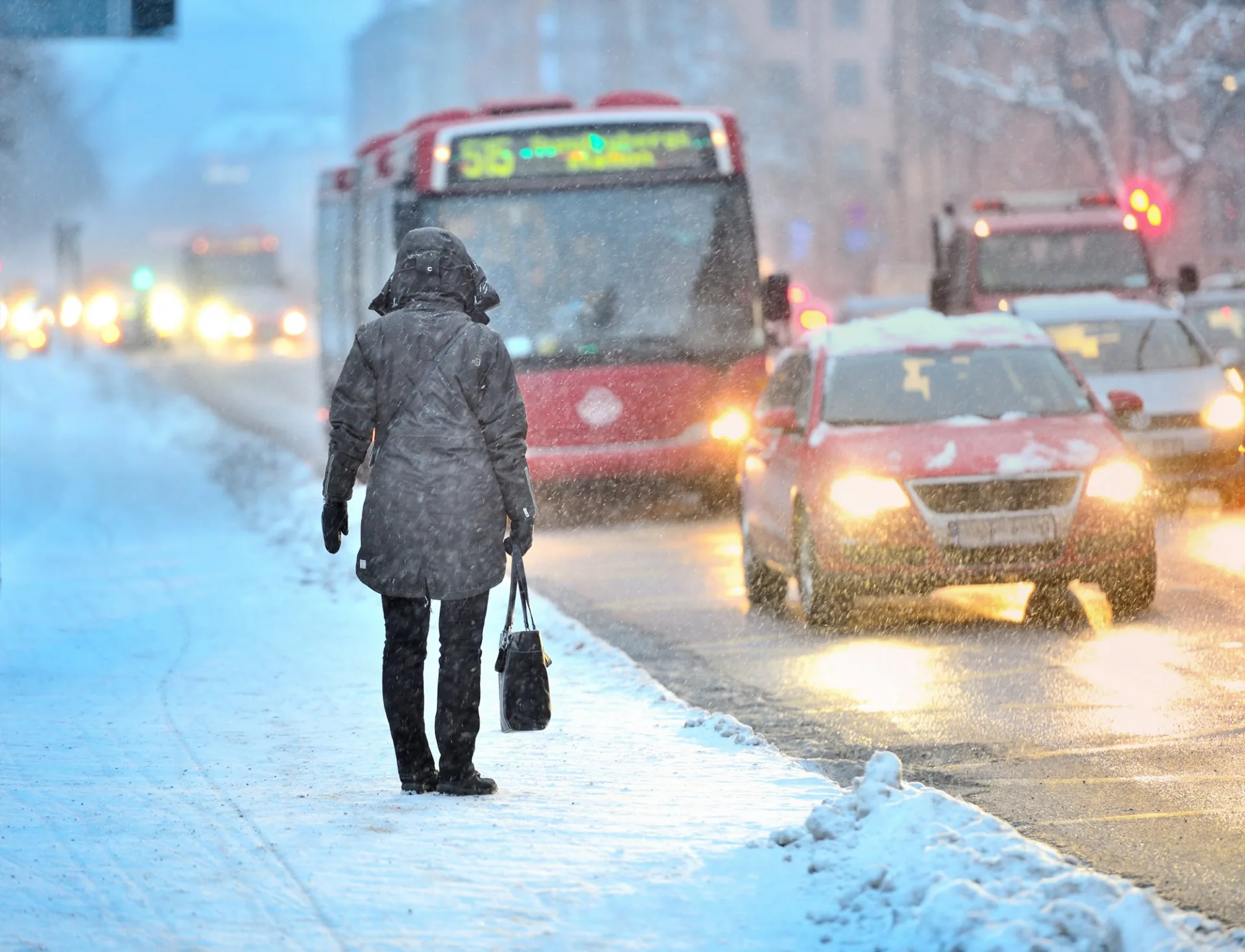 Science Says People Would Be Healthier and More Productive by Working ...