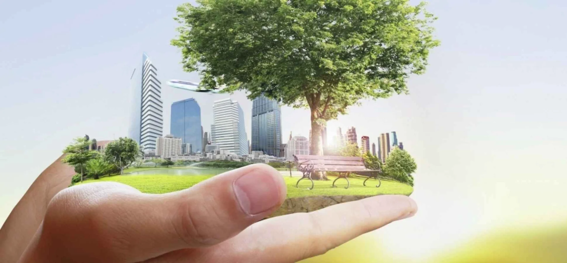 What ‘Sustainability’ Means and Why You Should Care