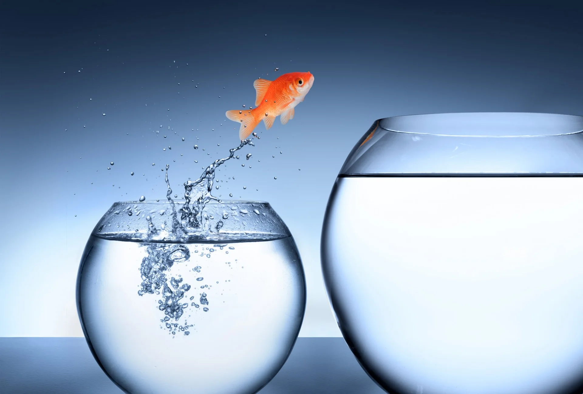 7 Common Myths About Business Experimentation