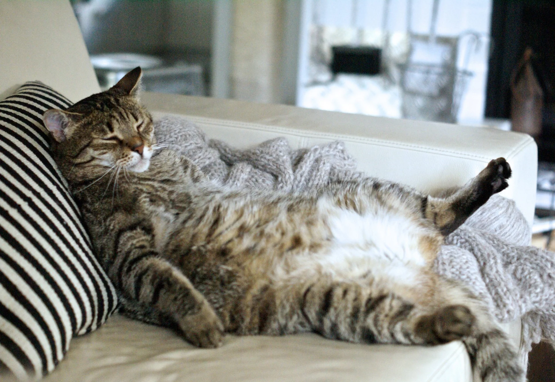 Is Lazy Marketing Hurting Your Business? Here's How You'll Know