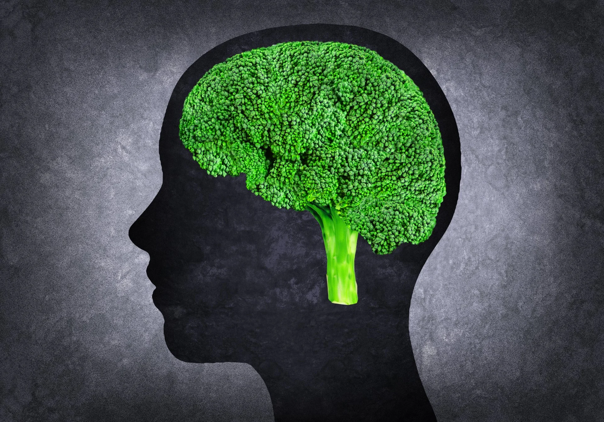 How This 1 Protein Is Deteriorating Your Brain (and How Scientists Plan ...
