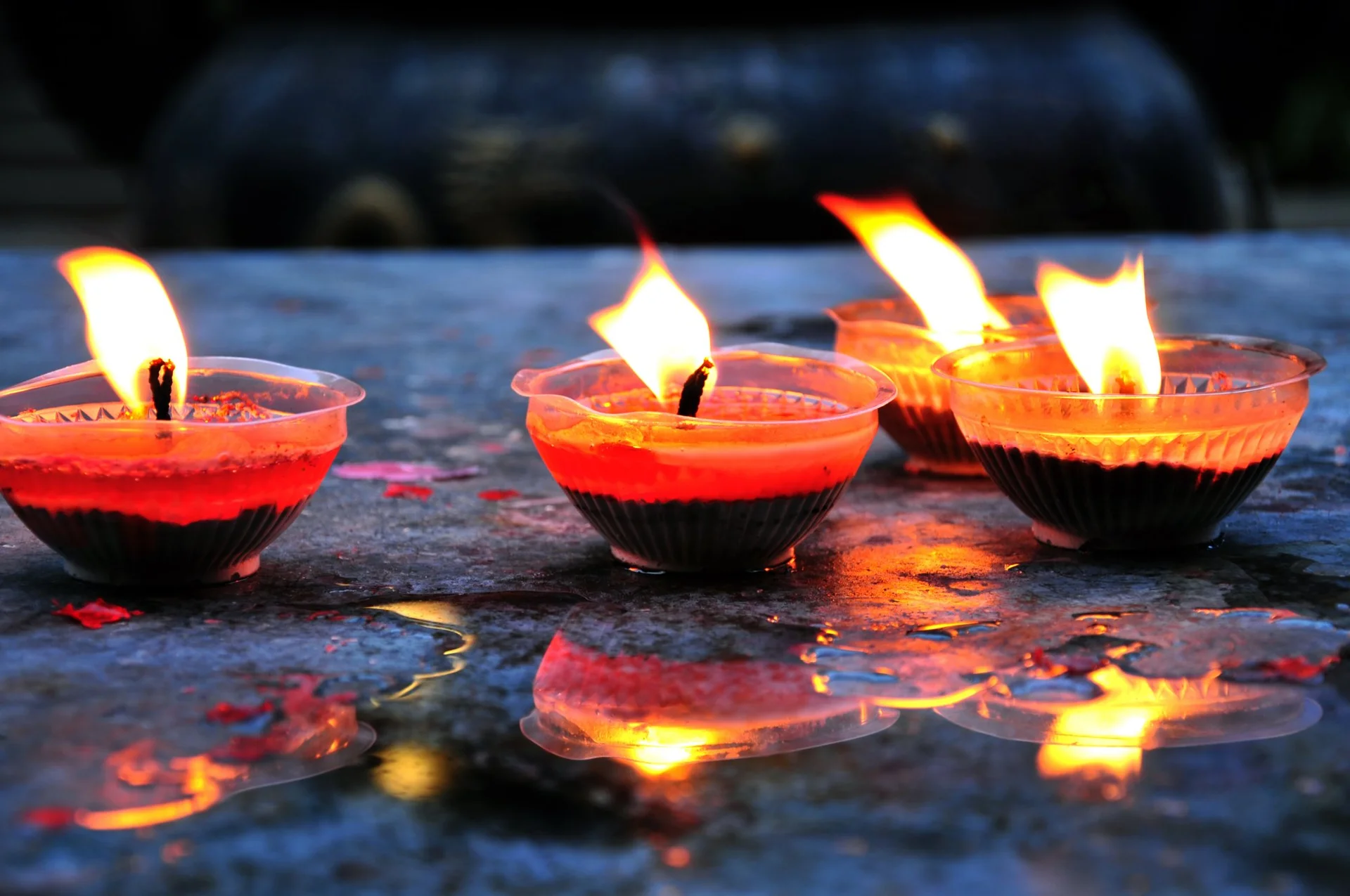 Quiet Celebrations to Uplift Your Spirits This Holiday Season
