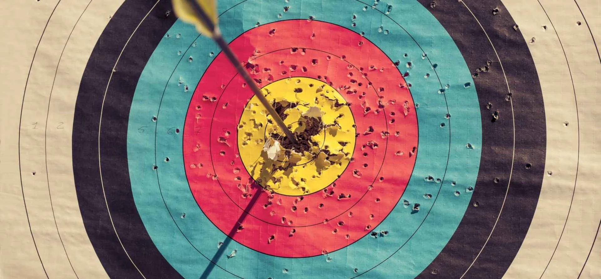 The 1 Smart Thing Highly Successful People Always Do