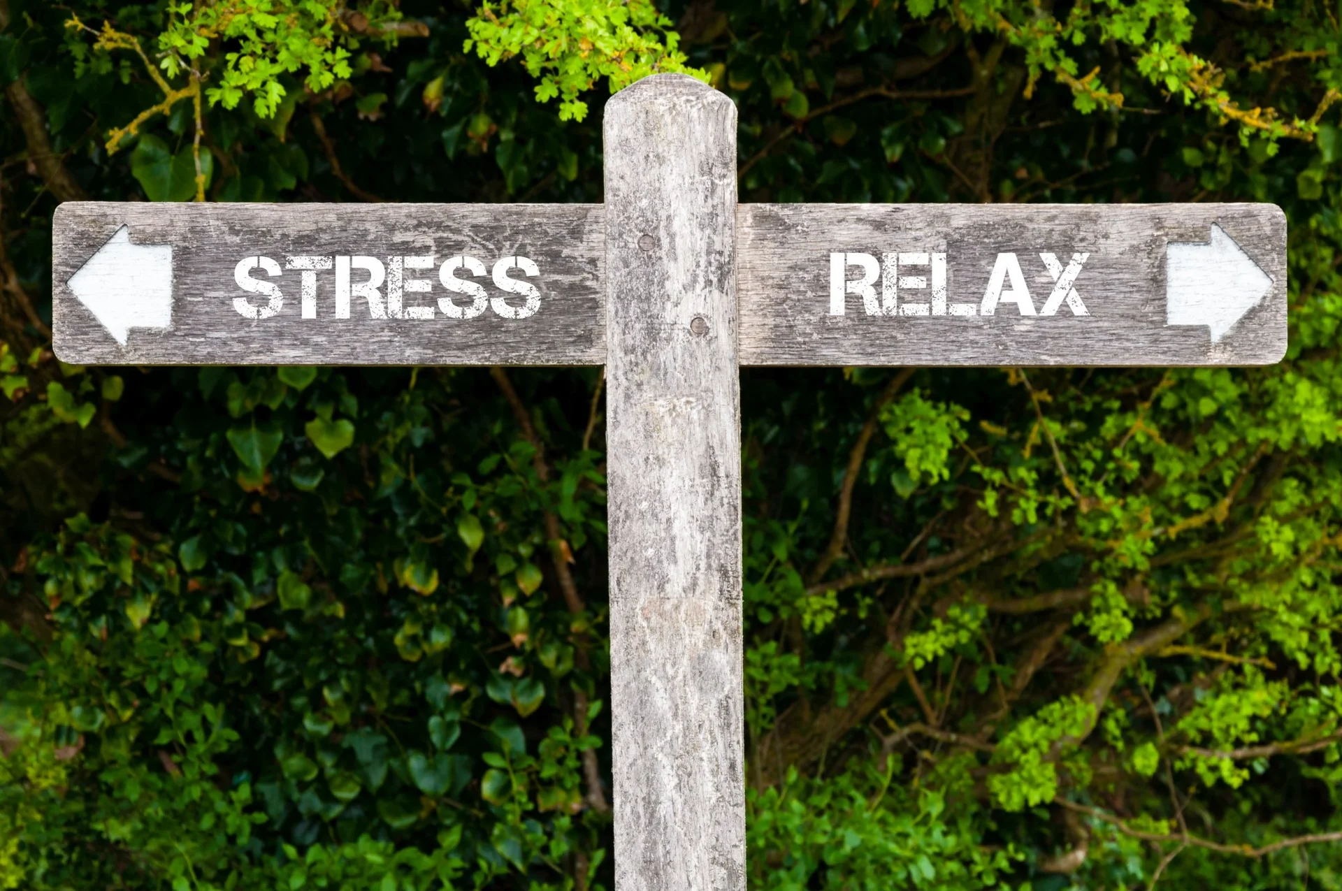 How to Turn Stress into Your Best Friend