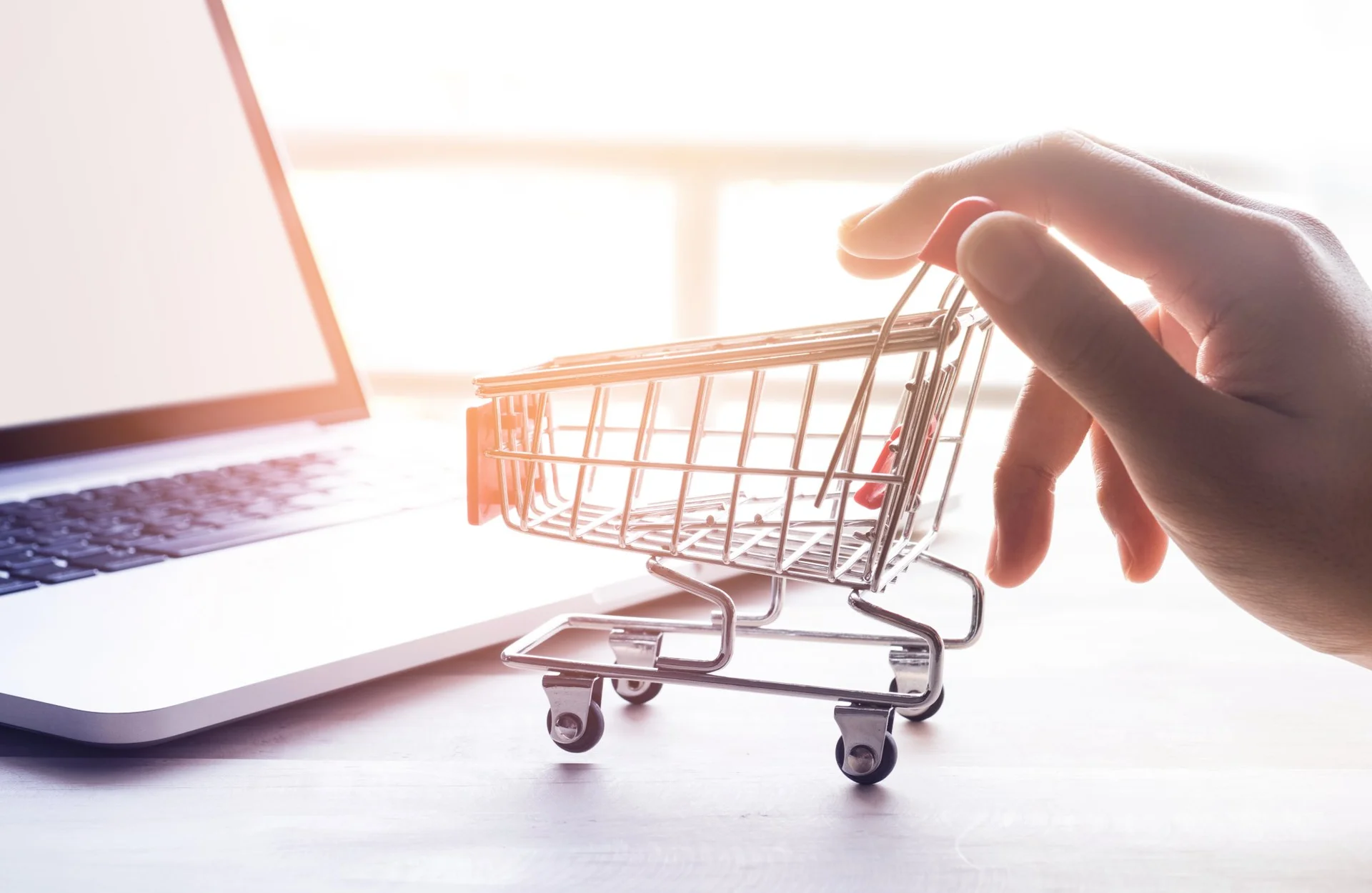New Research Reveals More Consumers Are Shopping Online for Everyday Items