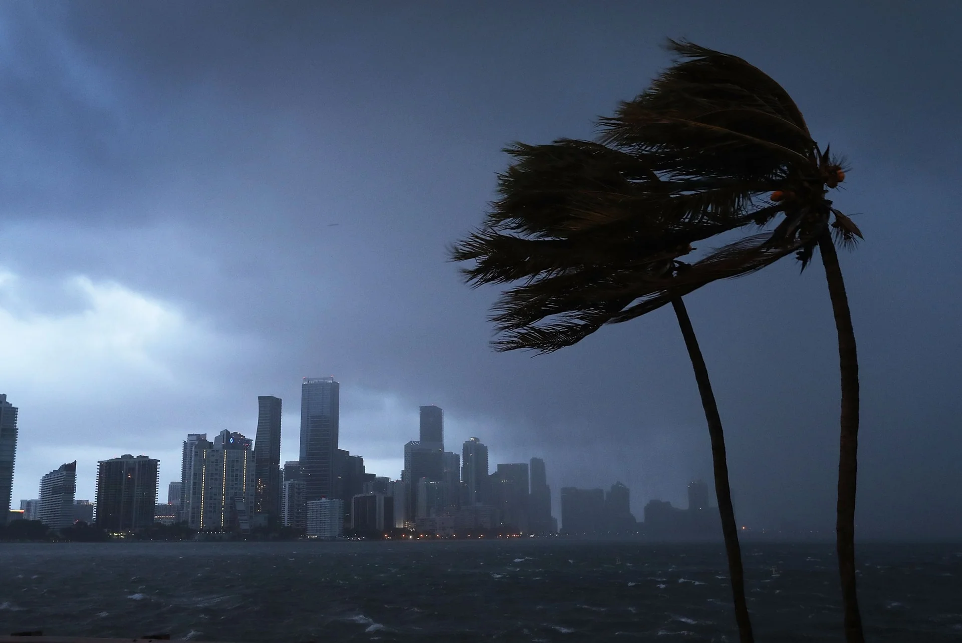 Digital Disaster Preparedness: 10 Apps to Download Before a Disaster ...