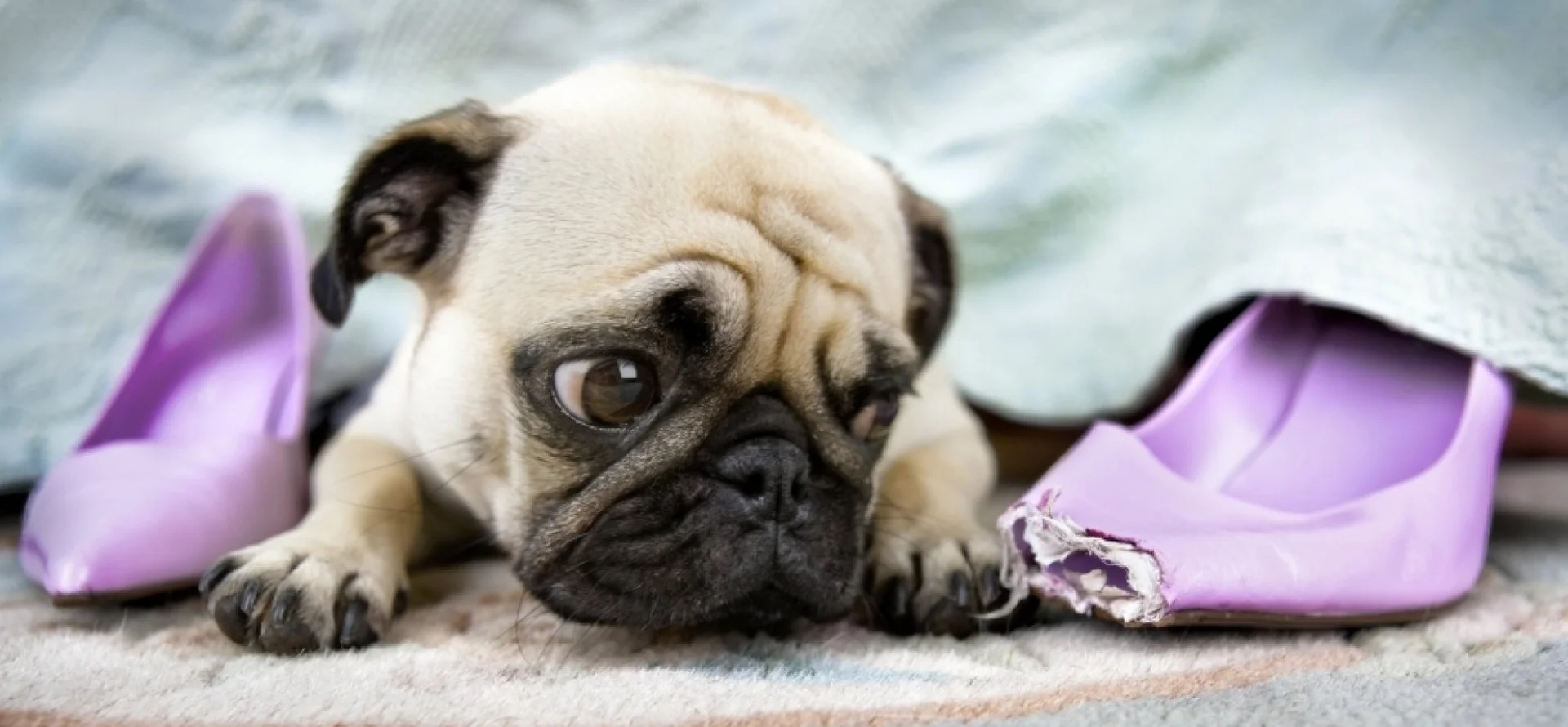 How to Get Over Regrets, According to Science