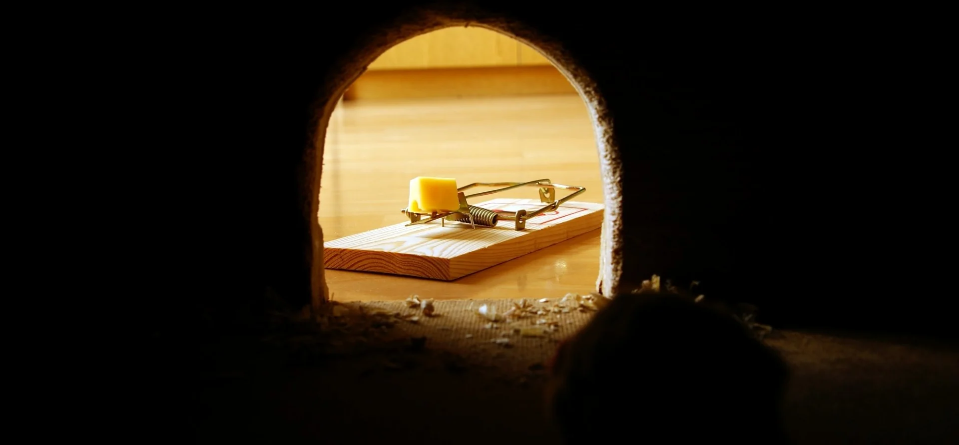 3 Traps to Avoid When Launching a Small Business