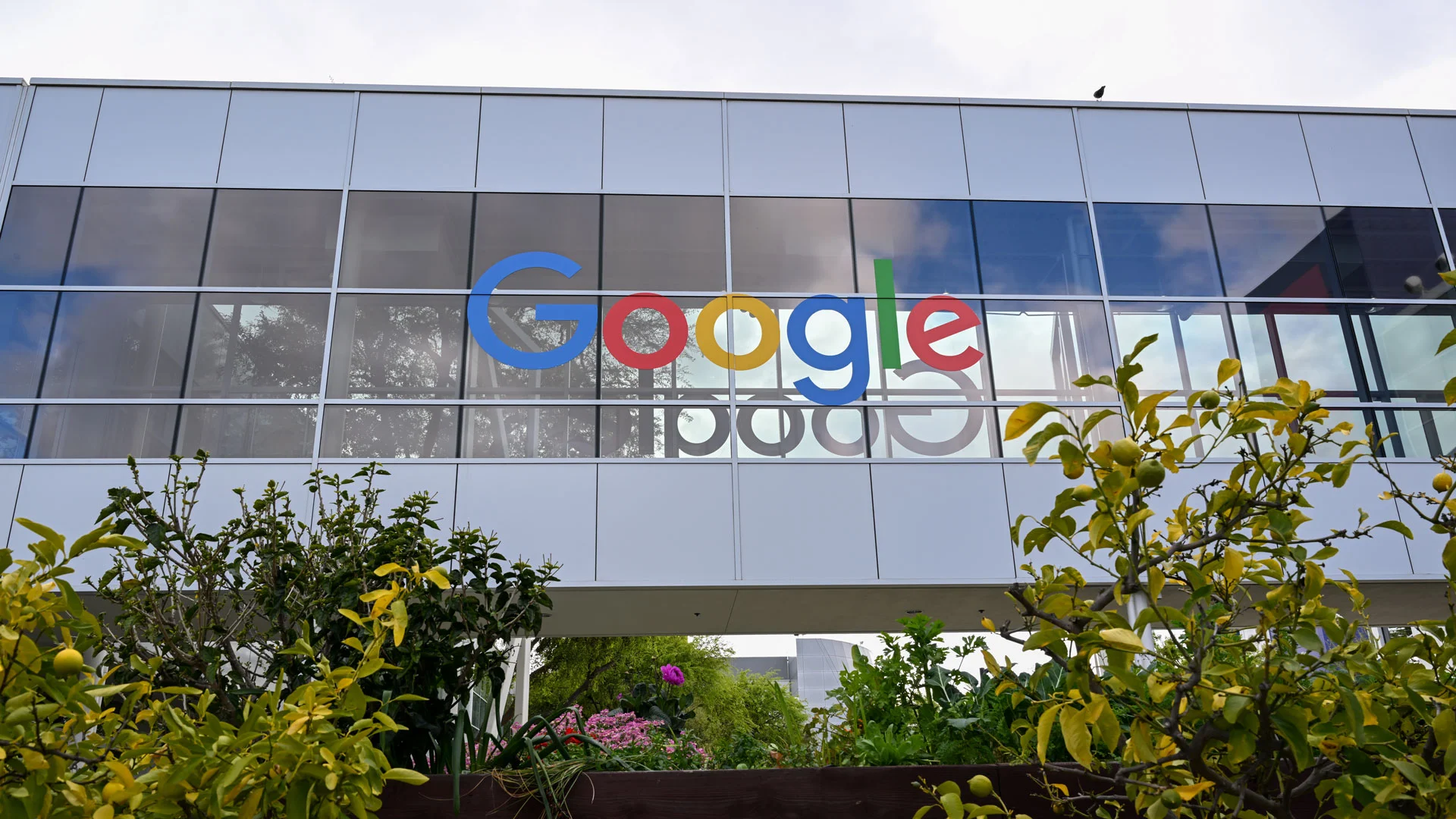 Google's Blockbuster AI Ad Deal Could Boost Small Businesses' Reach