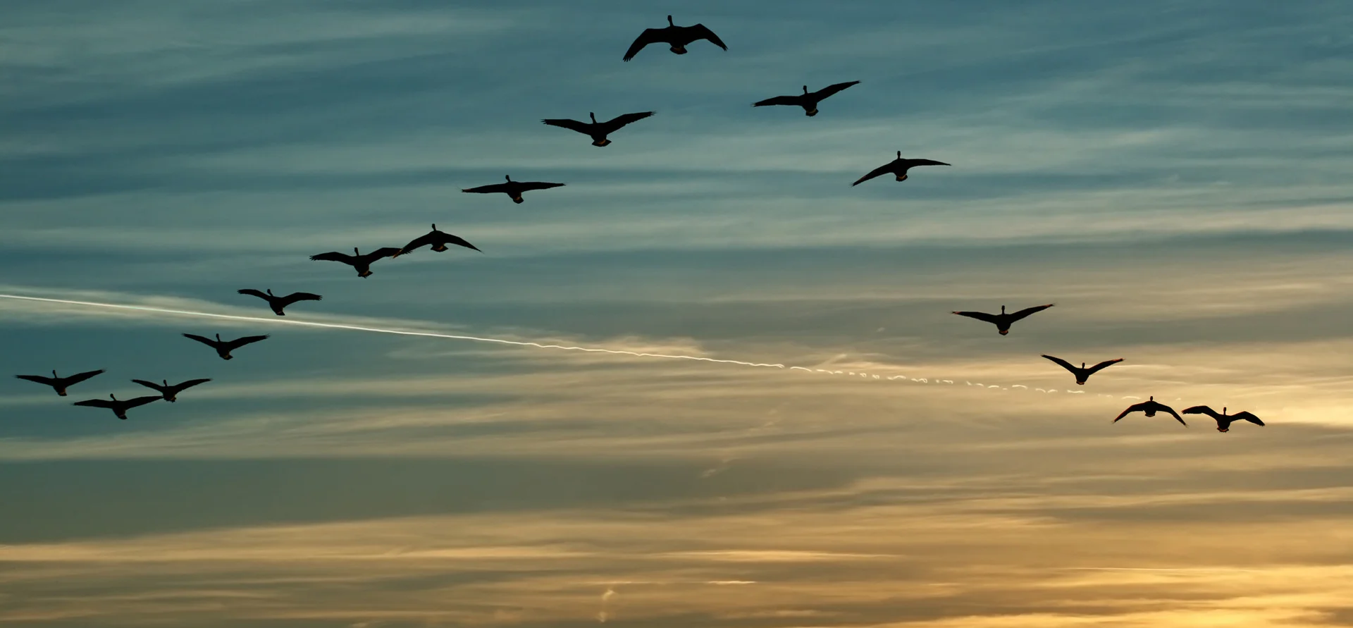 How Followers Add Value to a Company