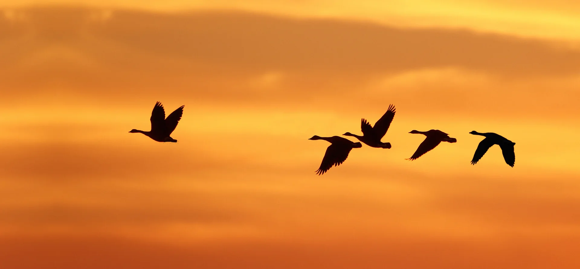 Want to Be More Innovative? Answer These Questions