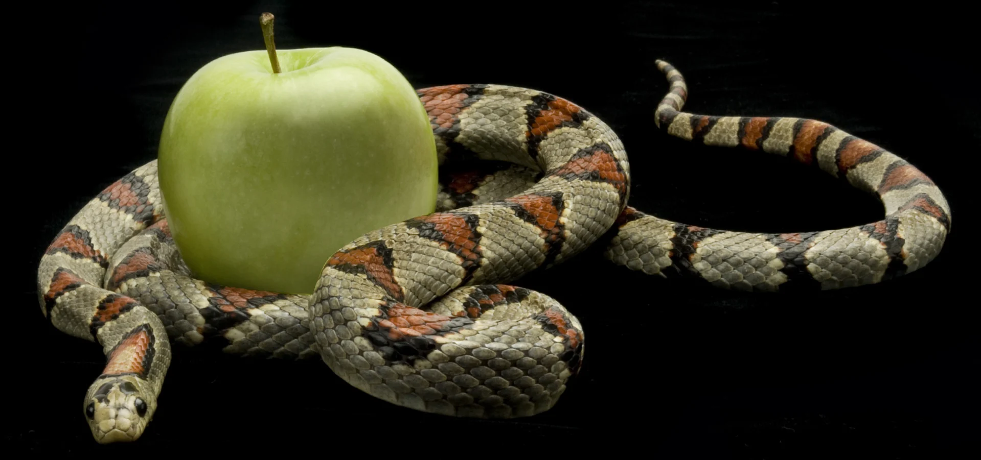 5 Deadliest Marketing Sins