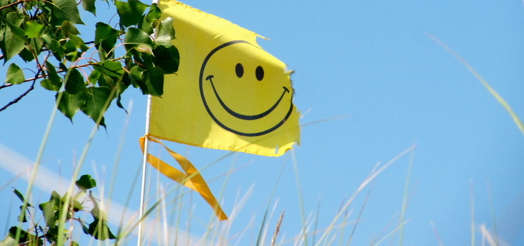 8 Ways Happy People Are Different From Everyone Else