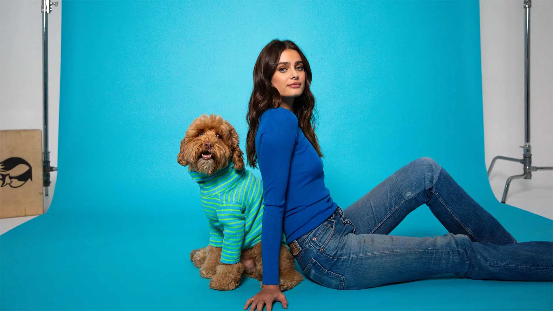 Model Taylor Hill Is Getting Into the Pet Care Category With Her New ...