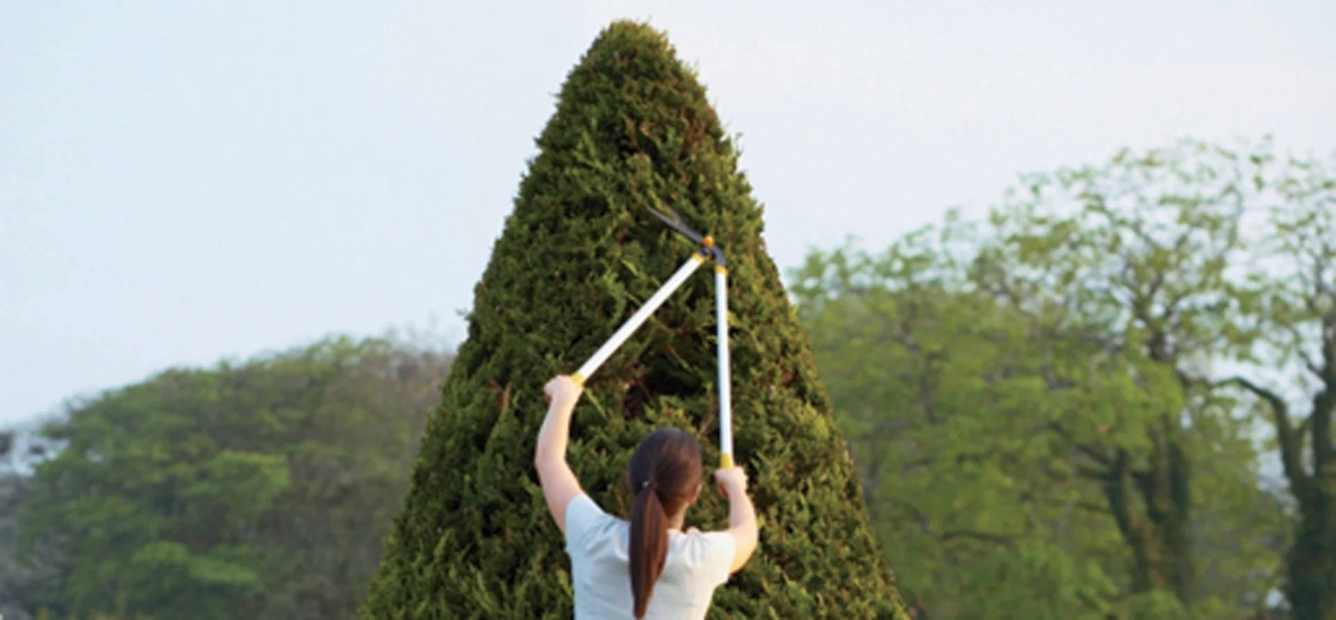 The 7 Defining Characteristics of Evergreen Companies