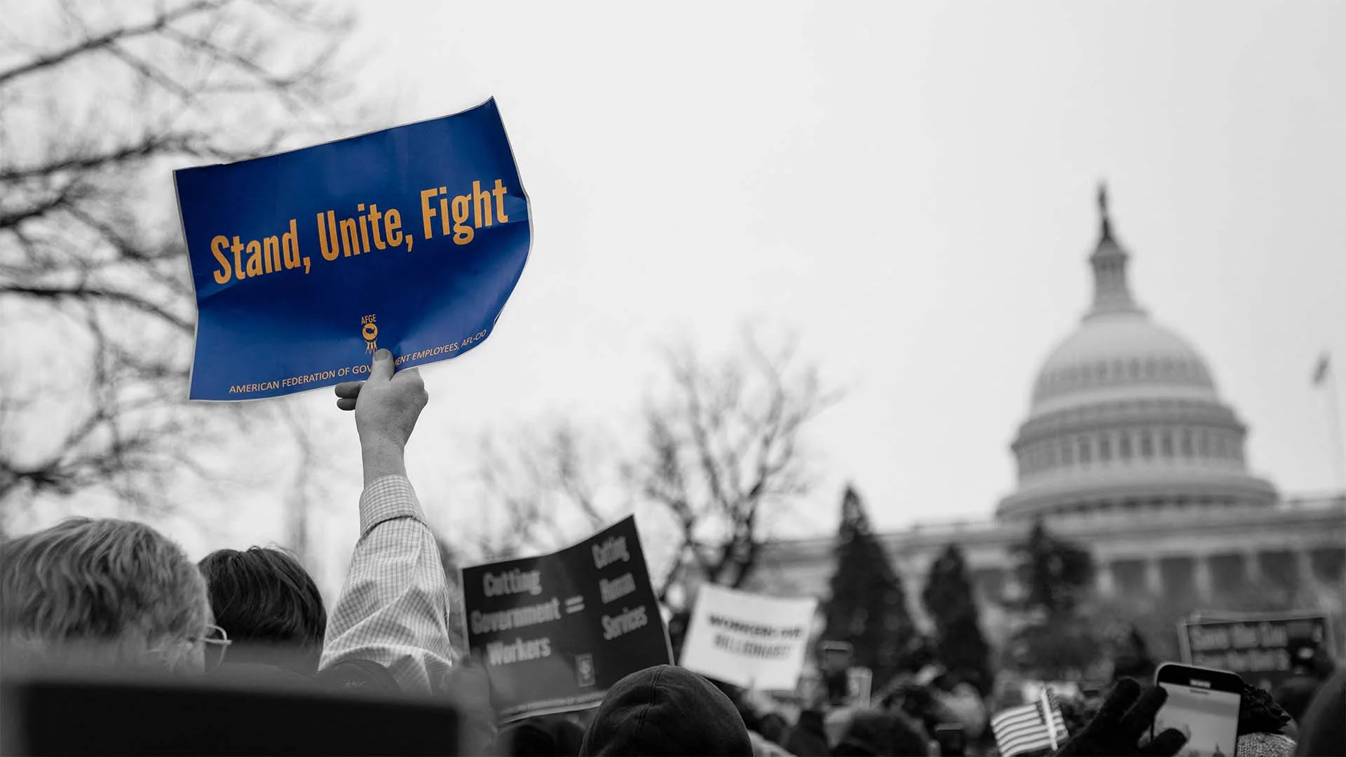 As DOGE Cuts Ripple, Federal Employees Flock to Reddit for Information ...