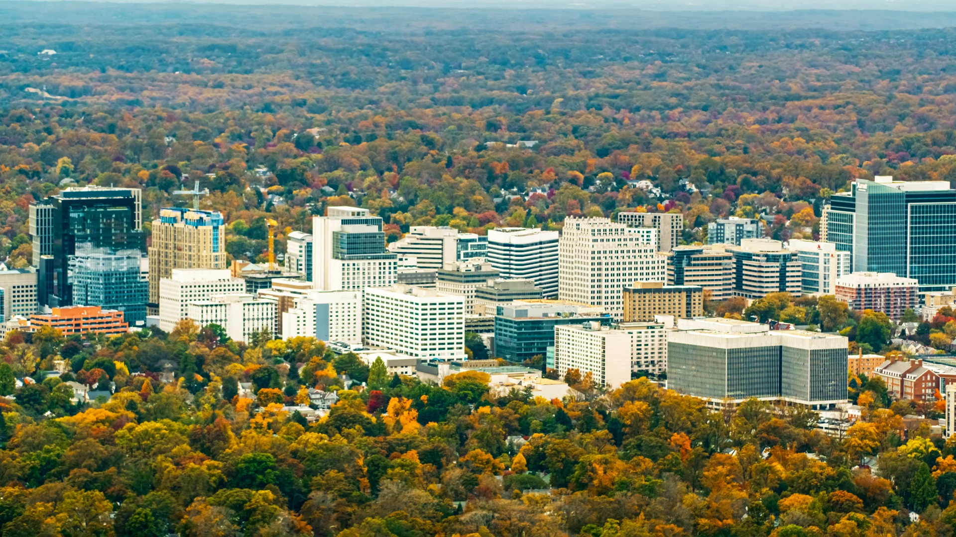 23 Great Places to Work in Maryland