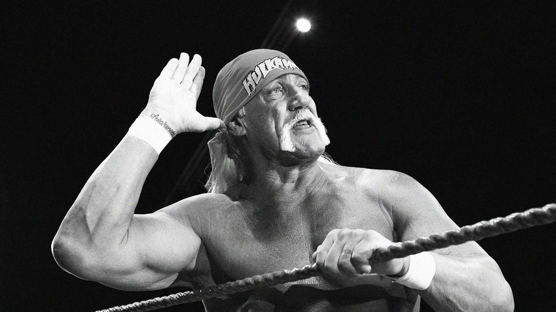 Hulk Hogan Dead at 71