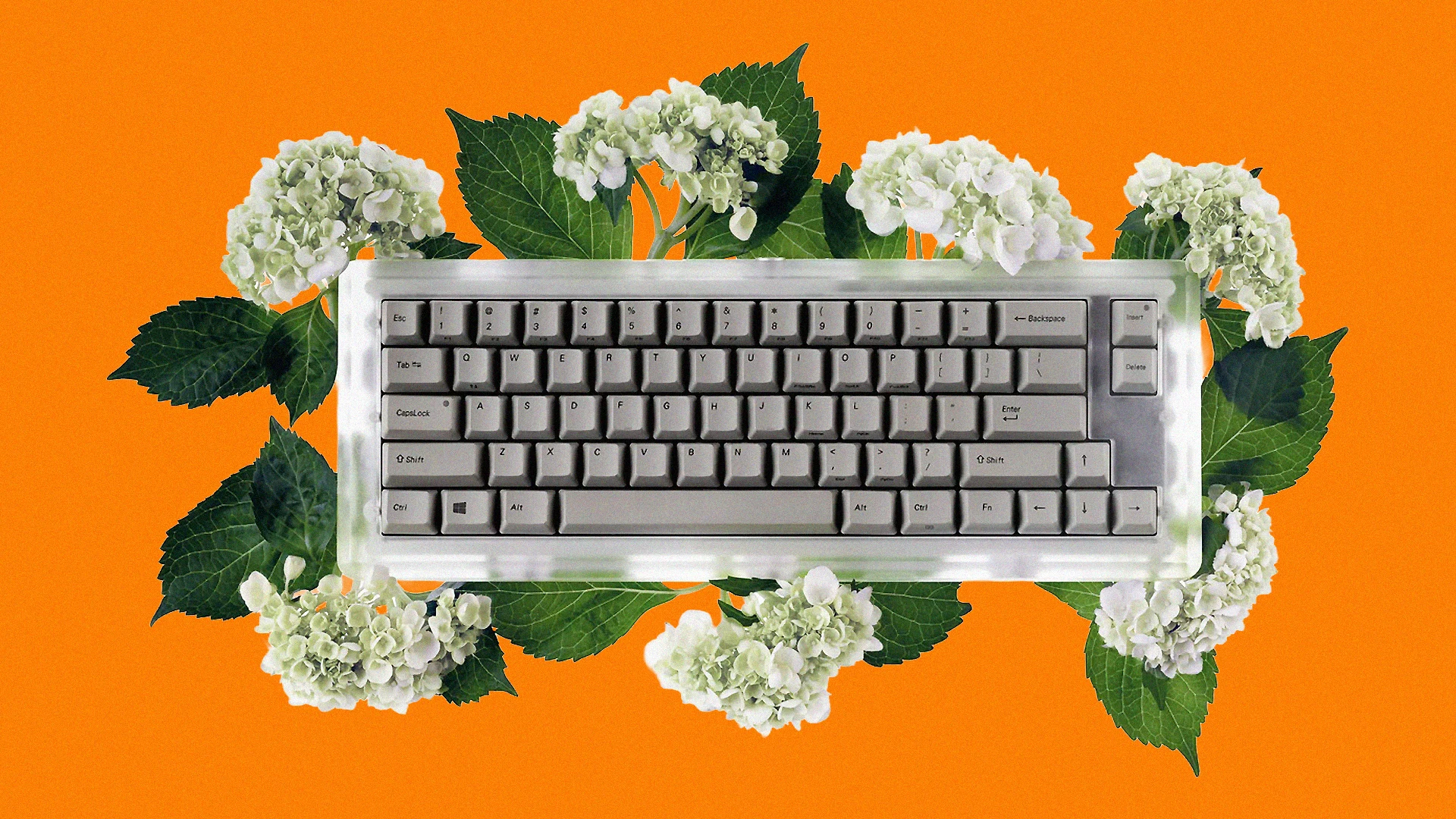 How Norbauer & Co. Made a Business Out of Luxury Keyboards