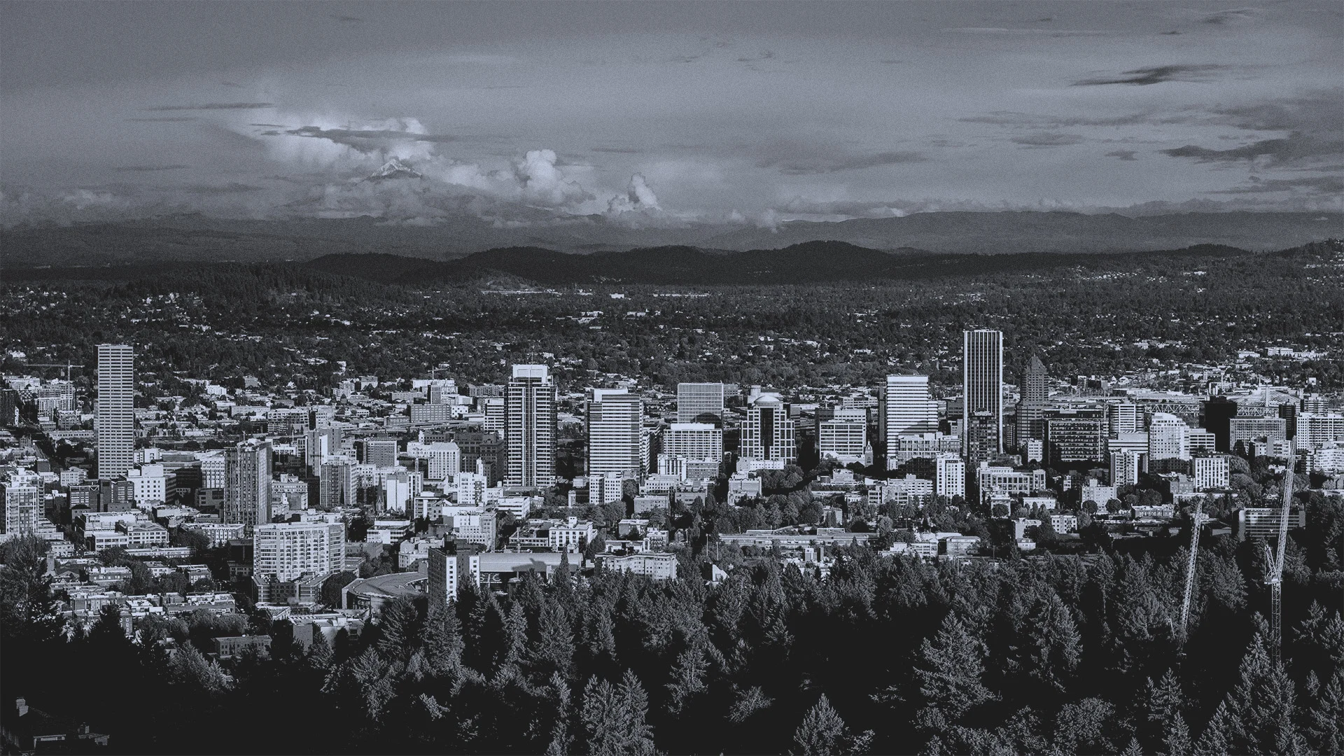 I'm a Portland-Based Entrepreneur. Sending the National Guard to the ...