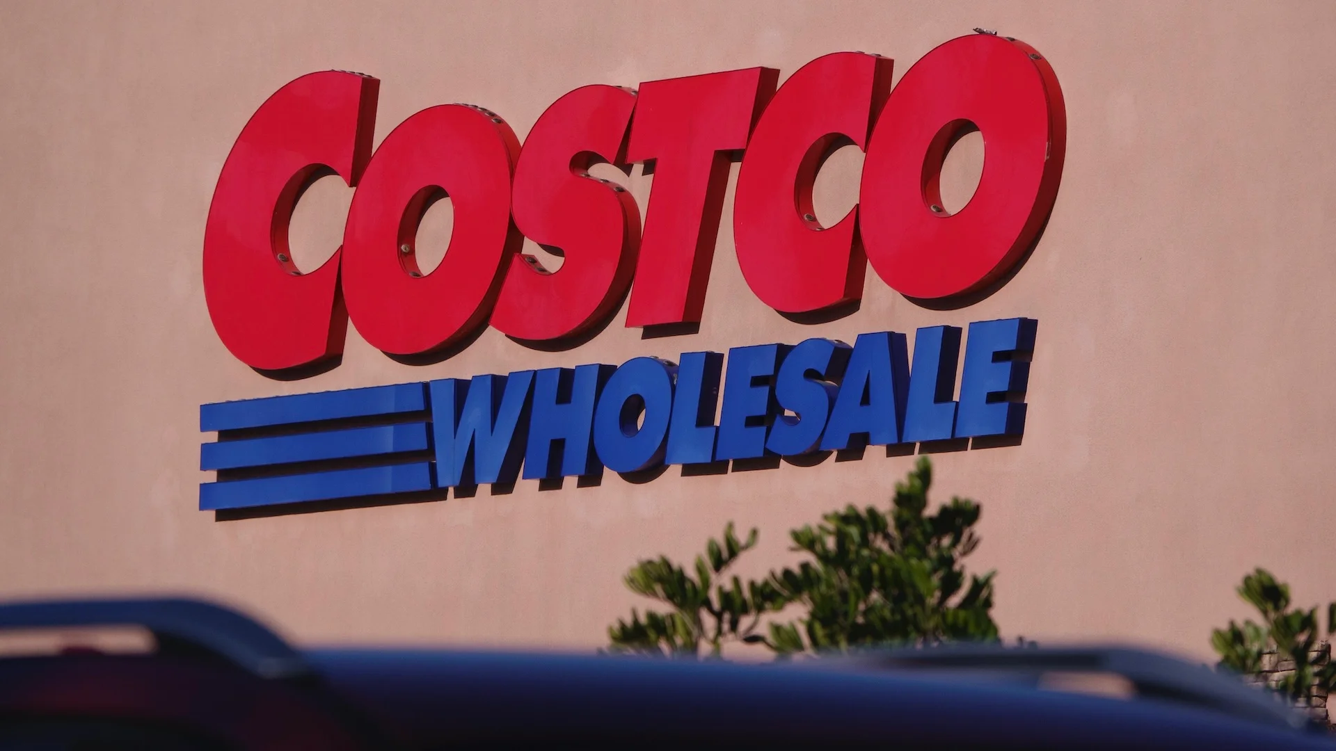 Costco's Latest Must-Have Item Is a Pair of Sneakers That Has Resale ...