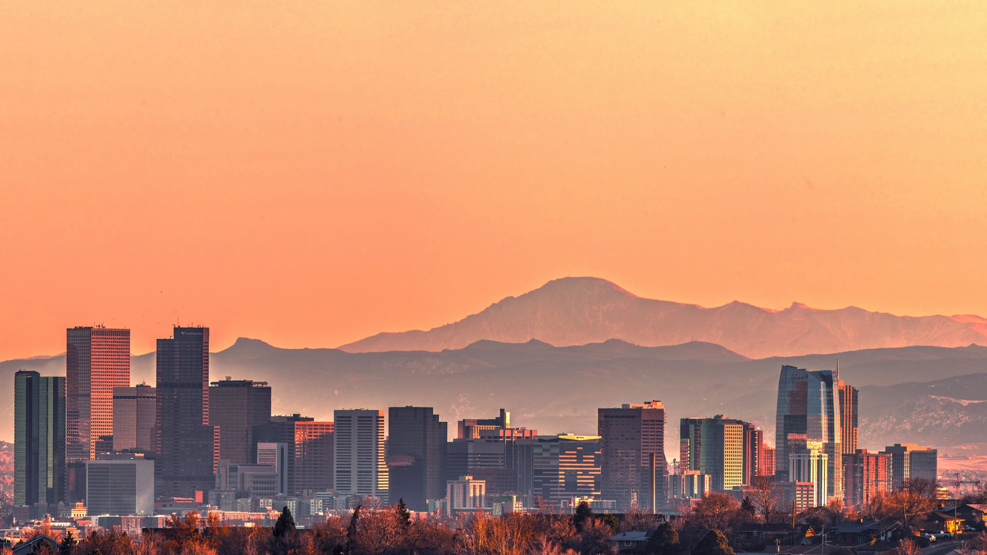 These 14 Denver Companies Are the Fastest Growing in the Region