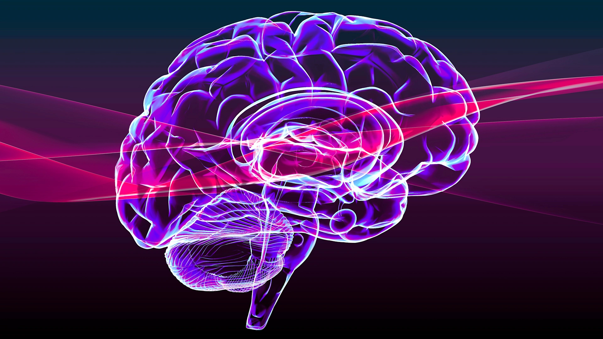 Neuroscience Says This Embracing This Powerful Mindset Actually Rewires ...