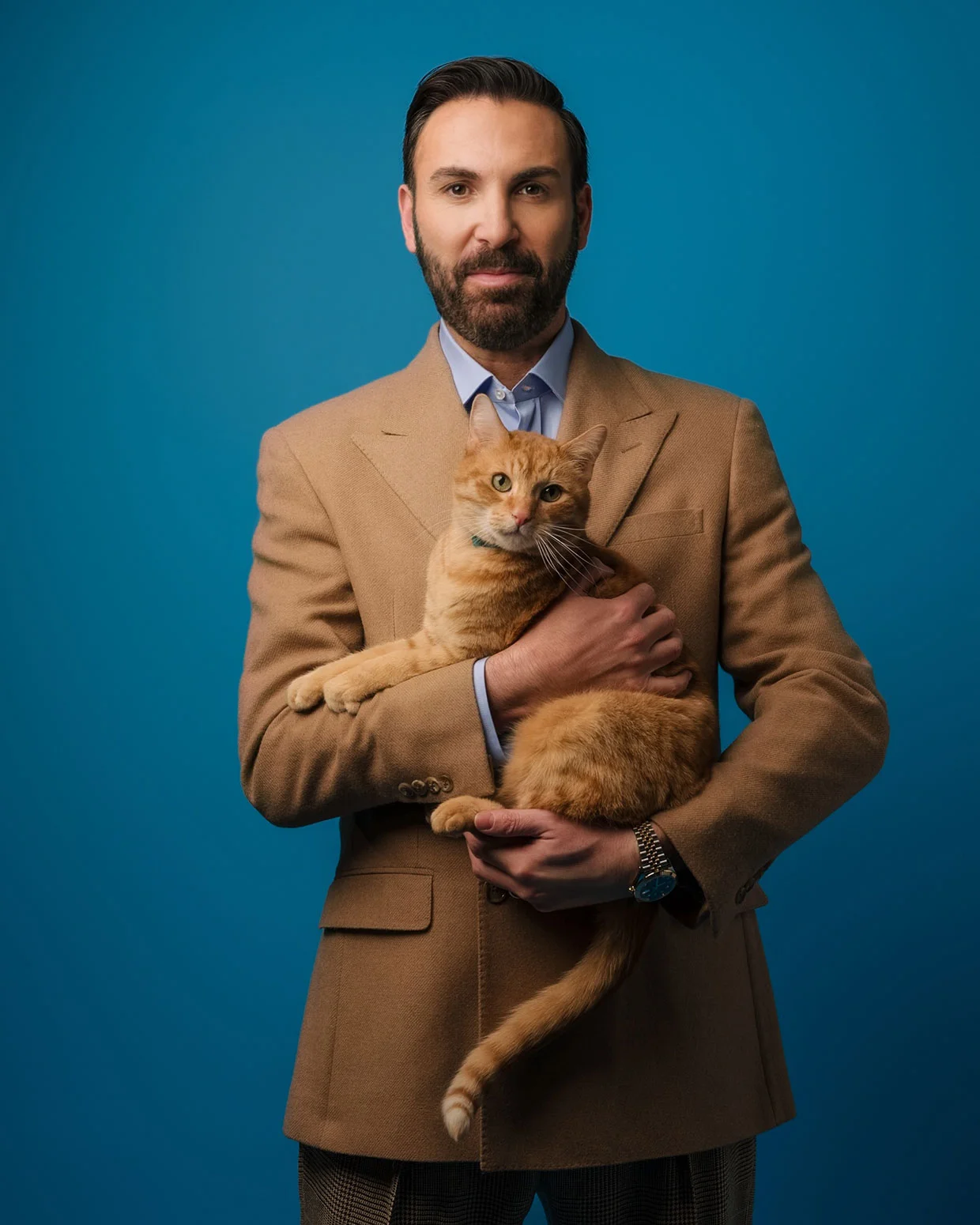 Cat Fancy: How Daniel Rotman's PrettyLitter Turned $1 Million in ...