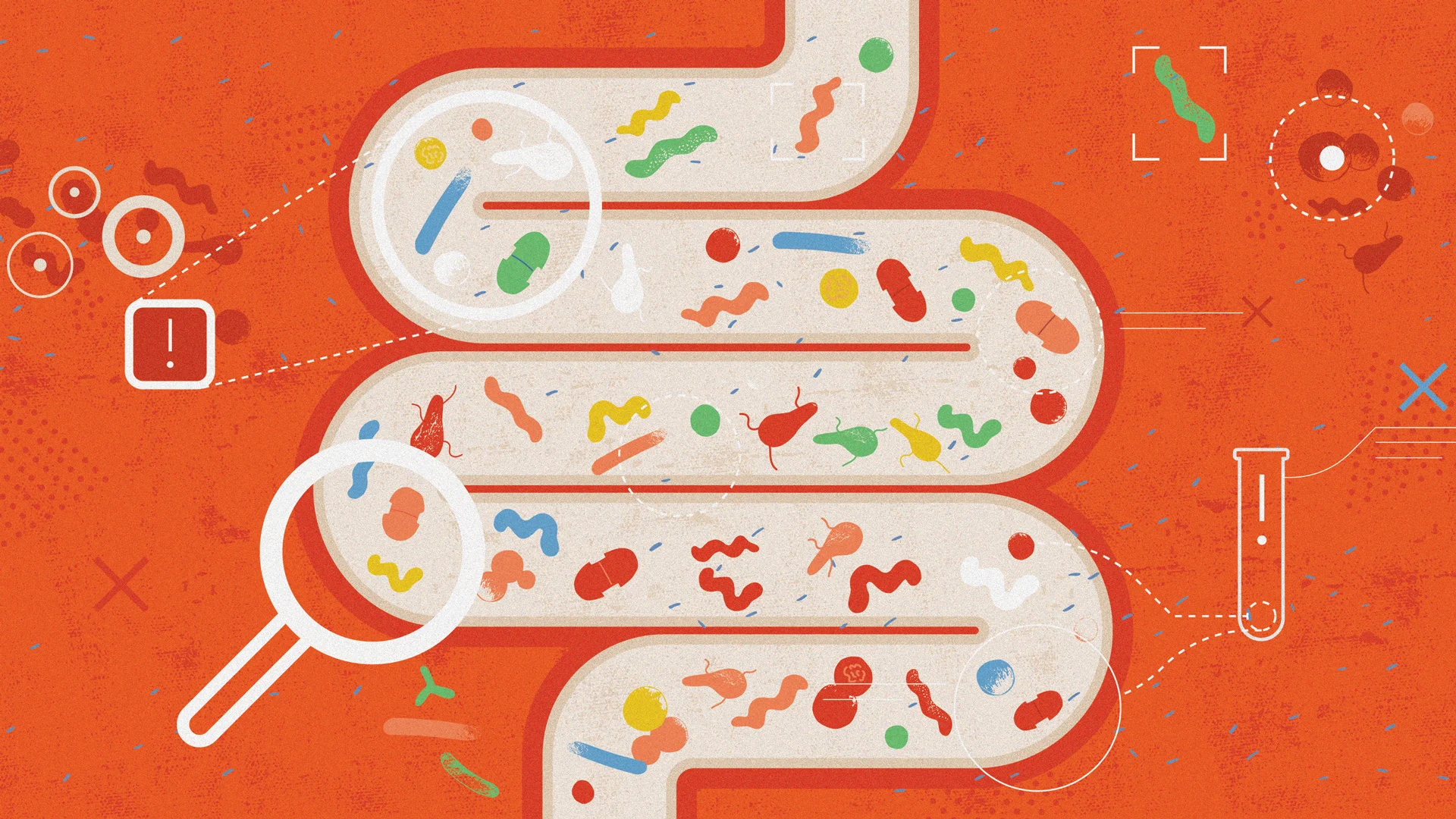Is Your Gut Aging Your Entire Body? This New Study Explains How