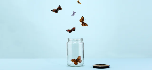 Wealth Perspective | Inc
