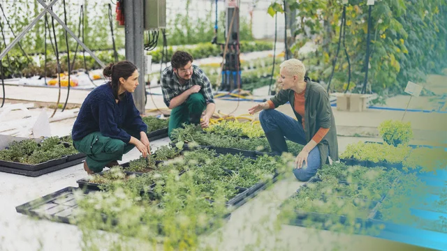 Grow | Inc