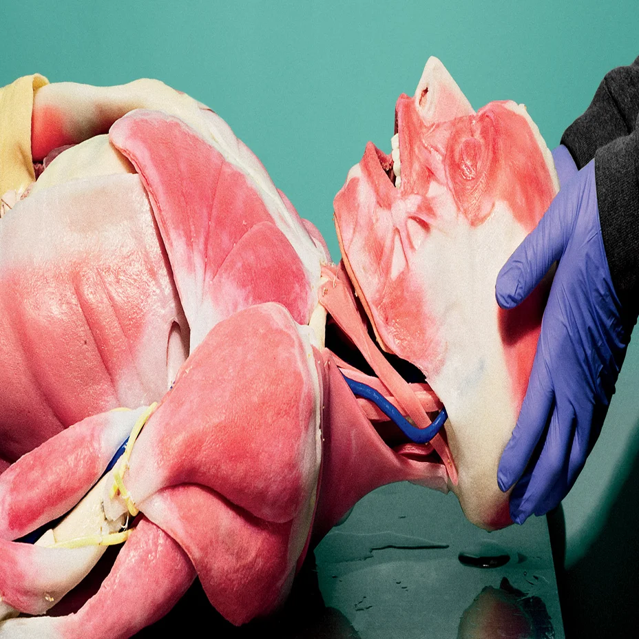 Can You Build a Business Around Selling Ultra-Detailed Fake Cadavers ...