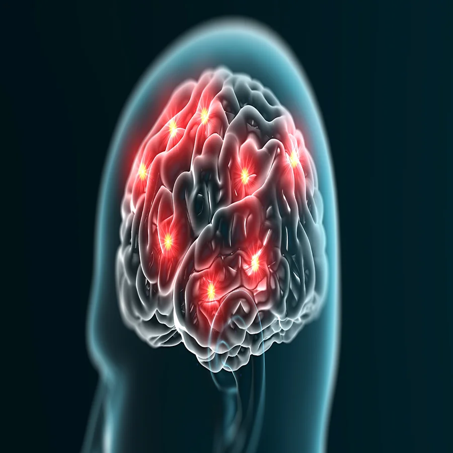 The Neuroscience of Motivation
