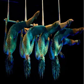 Cirque du Soleil and MGM Mirage: A Lesson in Strategic Partnership