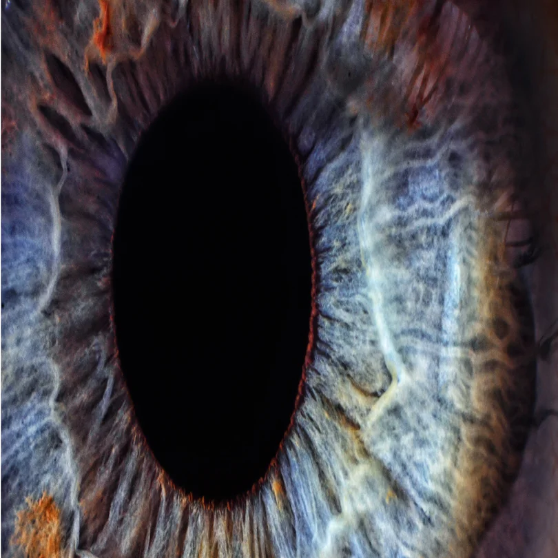GrayBug: Disruptive RX for Your Eyes