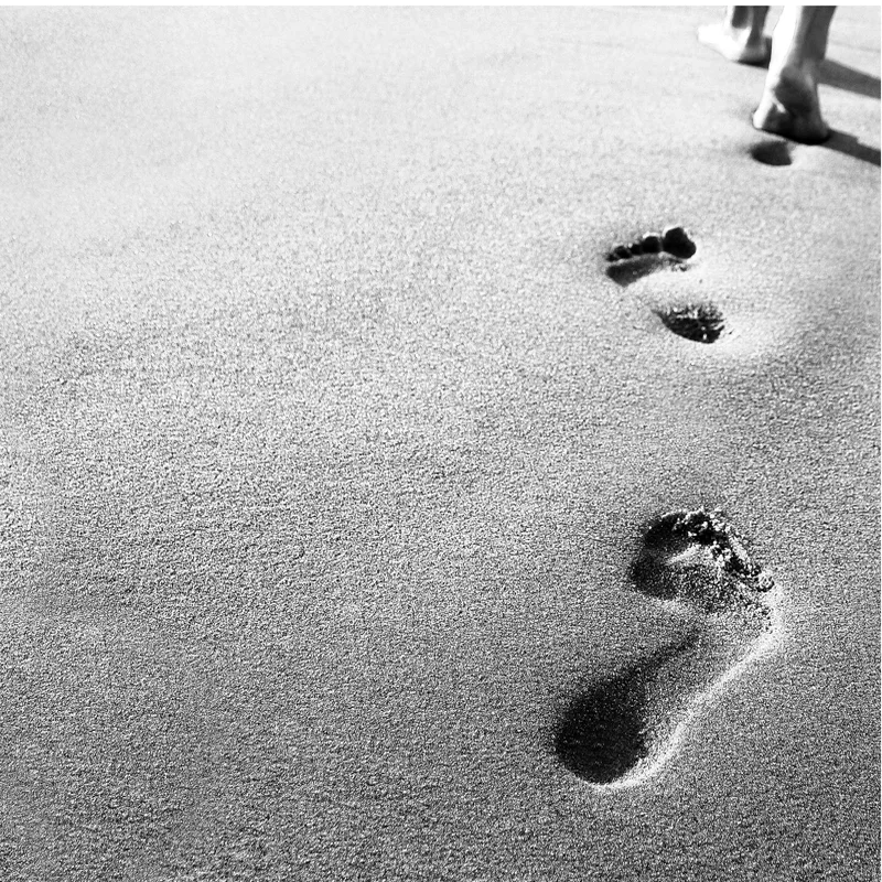 Web Tools to Blur Your Digital Footprint