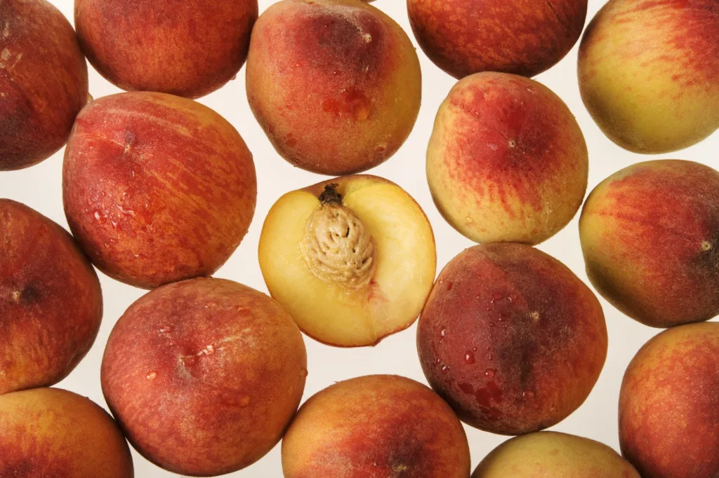 Famous Too Fast, Sweet Peach Starts Over