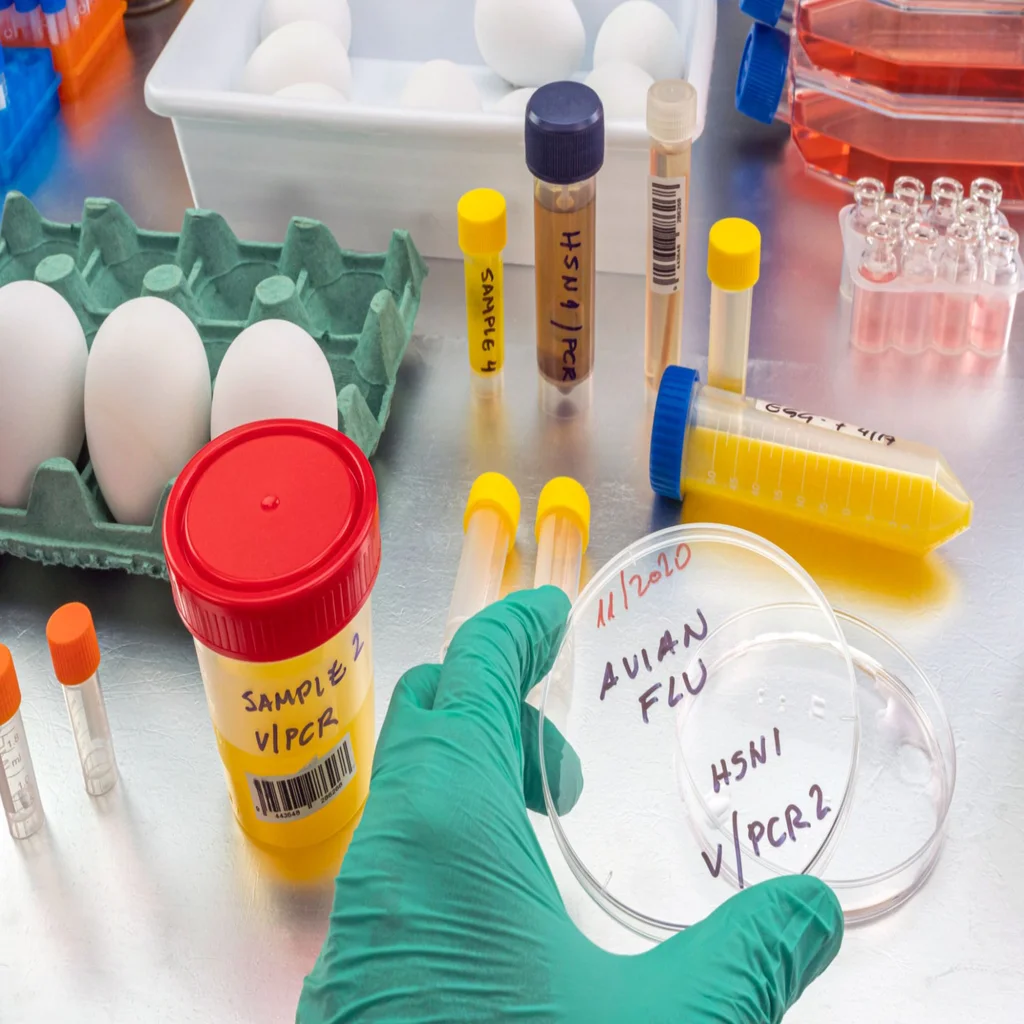 Companies Handle Surging Covid Rates as Health Officials Worry More ...